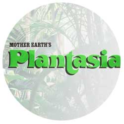Plantasia_Green_Cal_Logo – The Institute for Art and Olfaction