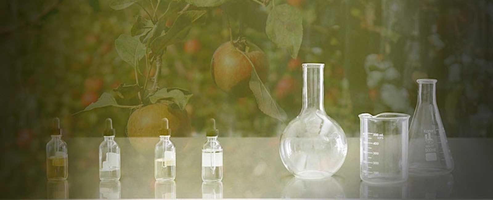 orchard – The Institute for Art and Olfaction
