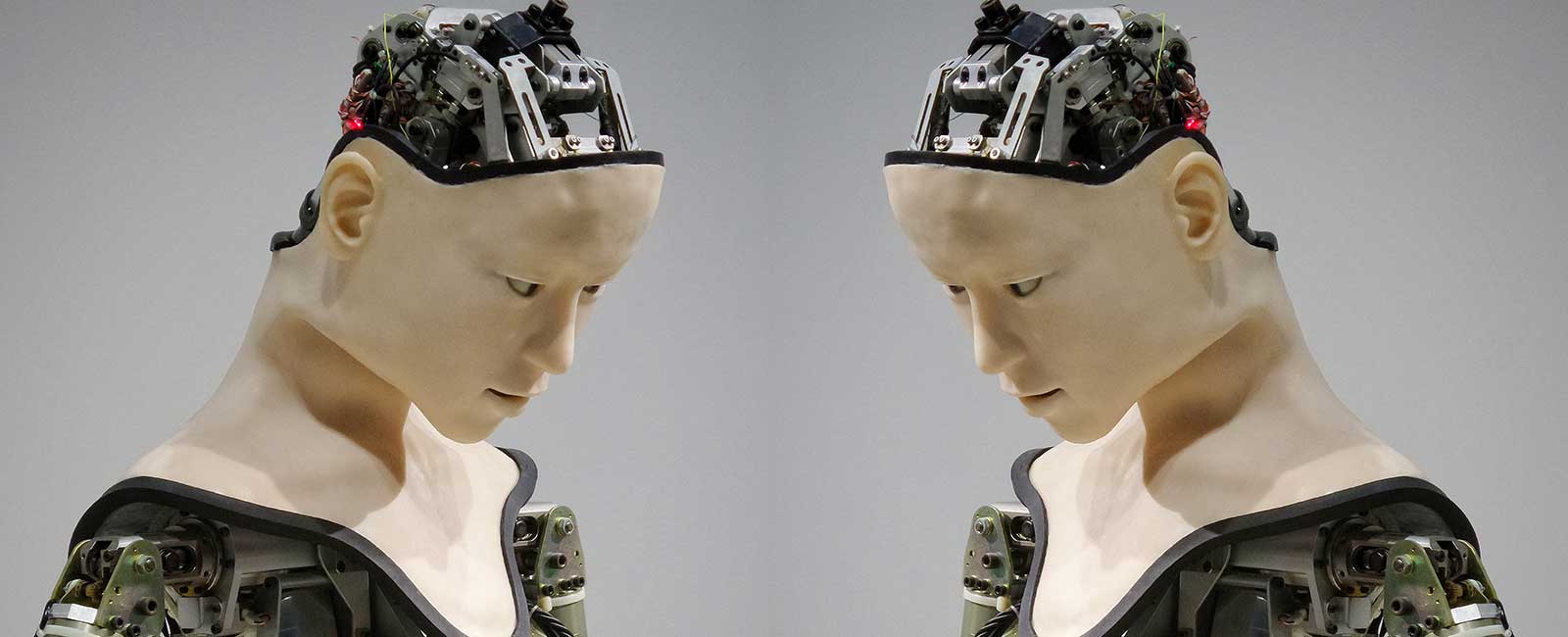 Machinelearning The Institute For Art And Olfaction 8627